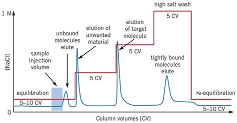 How To Draw Elution Profile