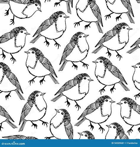 Robin Bird Pattern Stock Vector Illustration Of Retro 50509681