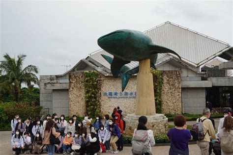 都道府県めぐり16 沖縄県 3日目 美ら海水族館 シニアの都道府県めぐり