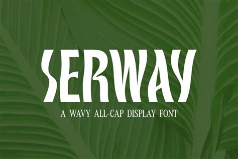 Serway Bold Condensed Font Opentype Youworkforthem