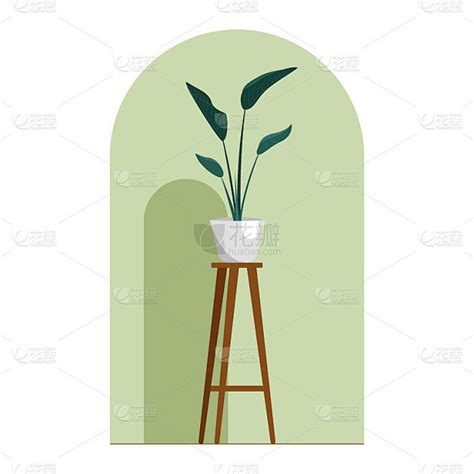 盆栽室内装饰植物