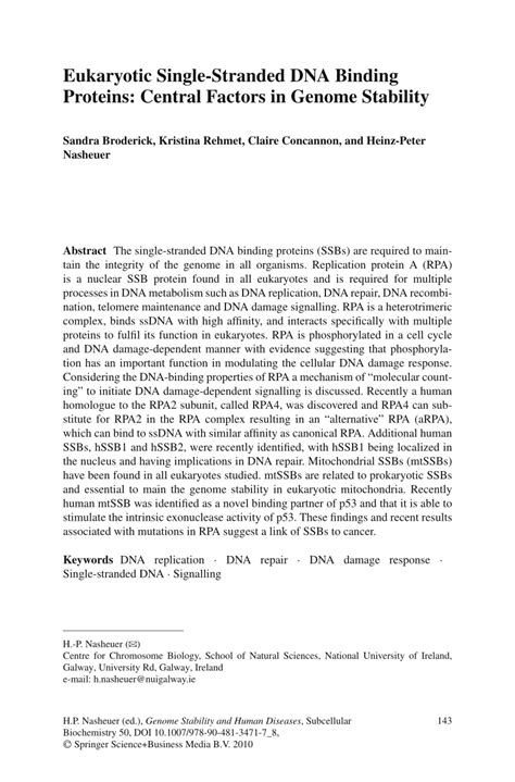 Pdf Eukaryotic Single Stranded Dna Binding Proteins Central Factors