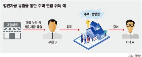 회삿돈으로 자식에게 주택증여 국세청 1822명 세무검증 파이낸셜뉴스