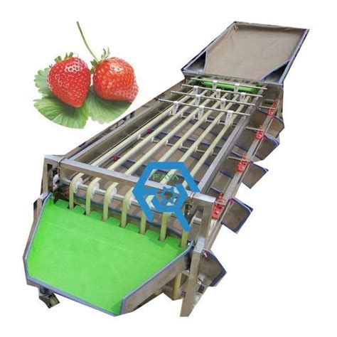 Orbital Fruit Automatic Sorting Machine Blueberry Strawberry Raspberry
