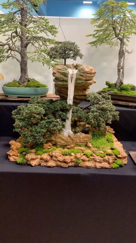 Cotoneaster Bonsai Cotoneaster Spp Quick Care Guide