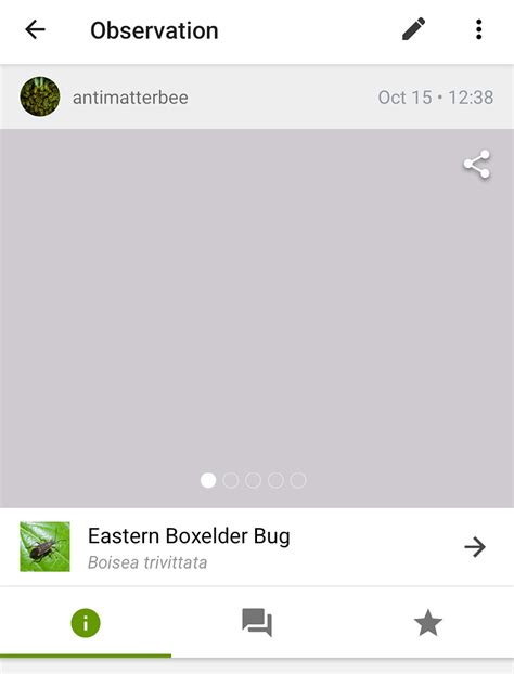 Issue With Image Loading In Android App Bug Reports Inaturalist Community Forum