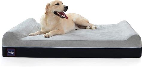 7 Best Orthopedic Beds For Dogs With Arthritis And Hip Dysplasia