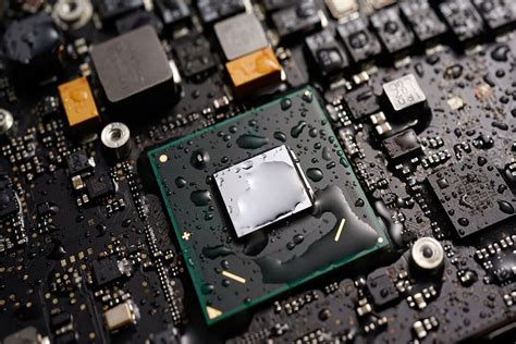 Microchips For New Cars At Kathy Morelli Blog