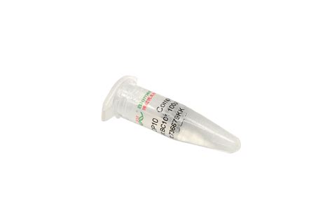 Dh5α T1感受态细胞博迈客