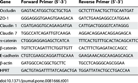 Real Time Pcr Primer Sequences Download Table