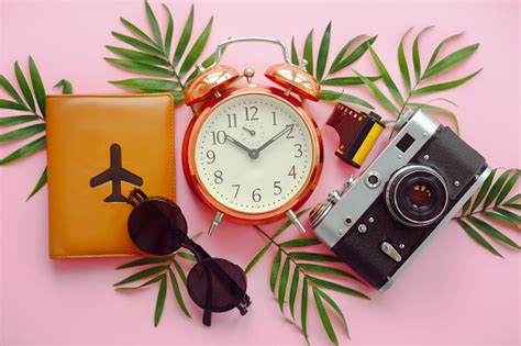 여권 사진 카메라 선글라스 비행기 핑크 배경에 녹색 종 려 잎에 시계 여름 플랫 하다 여름 휴가 개념 시간 개념 및 방 랑 벽을 0명에 대한 스톡 사진 및 기타 이미지