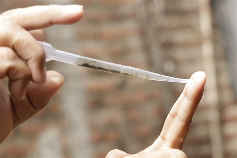 Gobernación Continúa Con Los Trabajos De Eliminación De Los Criaderos
