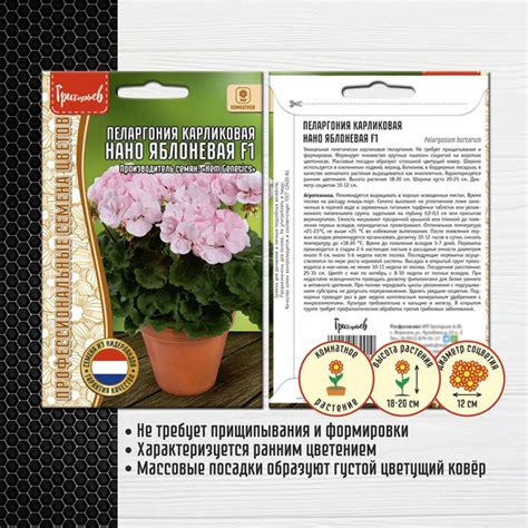 Пеларгонии (Герань) Григорьев Пеларгонии (Герань) - купить по выгодным ...