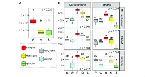Variations Of Cells Densities Along The Surface Of Taonia Atomaria