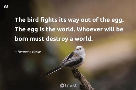 Life Bird Quotes Nina Simone Quote Birds Flying High You Know How I