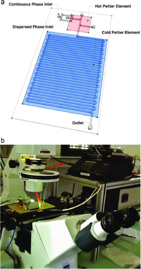 Experimental Setup A Sketch Of The Microfluidic Chip And B The Download Scientific Diagram