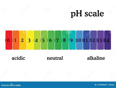 Diagrama De La Escala Del PH Con La Correspondencia Valores ácidos O