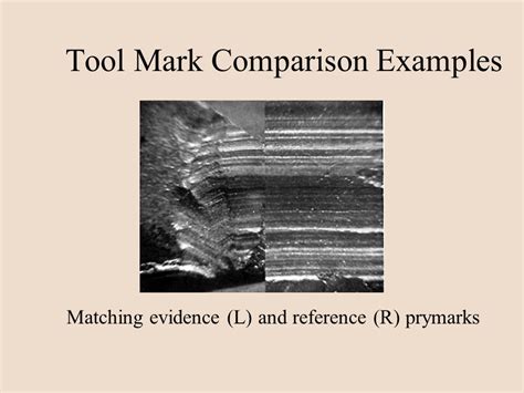 Tool Marks Geology