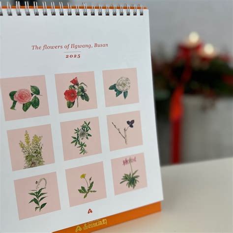 올리브교회 📖 2024년 12월 암송 말씀 “보라 처녀가 잉태하여 아들을 낳을 것이요 그의 이름은 임마누엘이라 하리라 하셨으니 이를 번역한즉 하나님이 우리와 함께