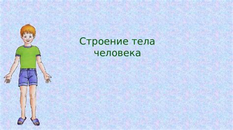 Презентация по окружающему миру Строение тела человека 2 класс