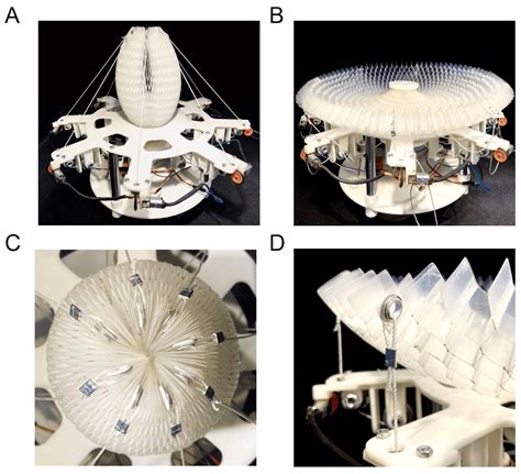 Iii Bio Inspired Soft Robotic Grippers And Manipulators Xingwen