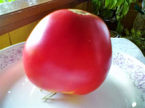 Томат Немецкая красная клубника: отзывы, фото, урожайность | tomatland.ru