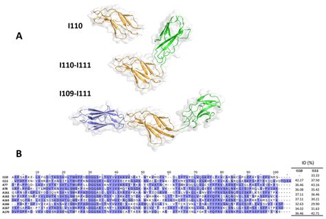 Crystal Structures Of The MIR I109 I111 Tandem And Its Subcomponents
