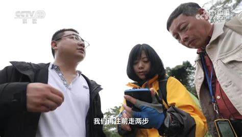 中国第41次南极考察：“雪龙2”号与“永盛”号会合前往秦岭站腾讯新闻