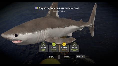 Русская Рыбалка 4. Норвежское море (№88). Гигаджиг и Черви. Ловим на ...