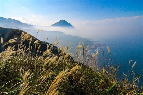 秋季限定！北部必訪5條特色芒花步道正美麗 旅遊 Newtalk新聞