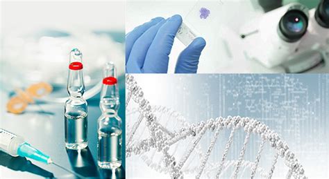 차백신연구소 면역증강제 코로나19 백신 개발에 사용된다