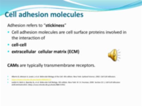 SOLUTION Cell Adhesion Molecules And Cellular Junction Studypool