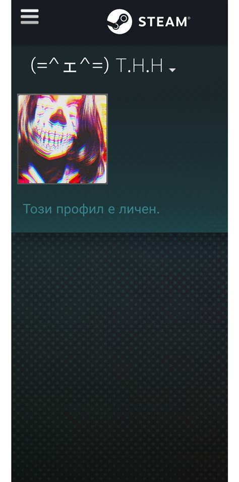 Rinas Steam Acc R Rinapalenkova