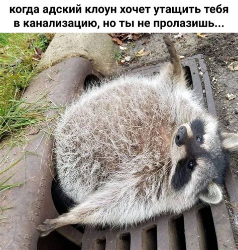 Грустное Пикабу