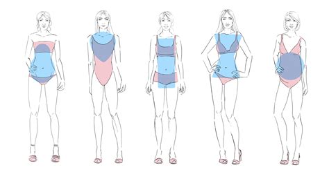 Fashion And Body Shape Illustrations For Precis — Willa Gebbie