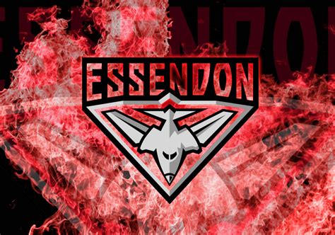 Image Essendon Wallpaper 2png Afl Wiki Fandom Powered By Wikia
