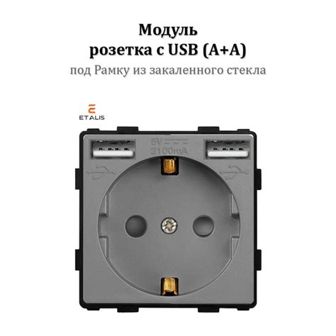 Розетка (модуль без рамки) электрическая с 2 USB (Type A+Type A) с ...