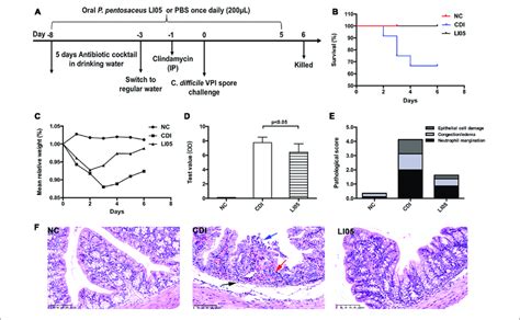 Pediococcus Pentosaceus Li05 Administration Attenuated C