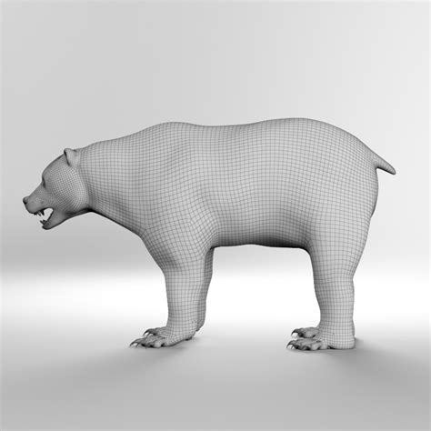Rigged Animation Ma