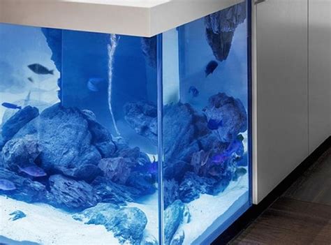 你家水族箱放哪？我家放在廚房，效果令人驚喜 每日頭條