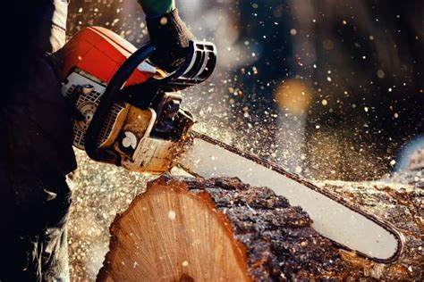 Camping Axe Vs Saw Which Is Better Tryout Nature