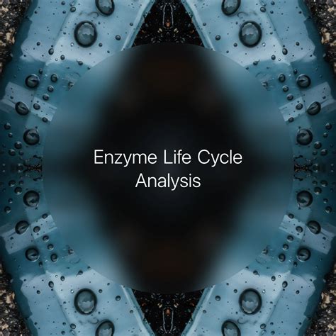 Enzyme Life Cycle Analysis → Term