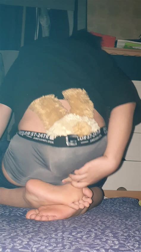 Sitting On A Dog Plush Face Em Inglês