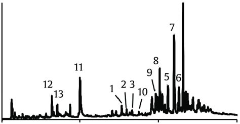 Hplc Profiles Of Ethanol Extracts Of The Yellow Resin From Surface Of Download Scientific