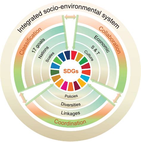 Figure 1 From Classificationcoordinationcollaboration A Systems