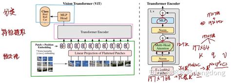 An Image Is Worth 16x16 Words Transformers For Image Recognition At
