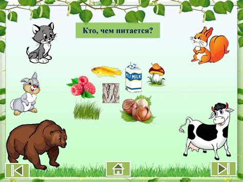 Дикие и домашние животные Интерактивная игра для дошкольников