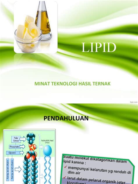 6 Lipid Ppt Pdf