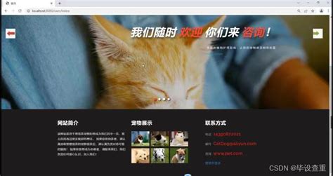基于ssm的宠物领养系统的大学生毕业论文设计源代码答辩论文基于ssm的宠物医院系统答辩申请 Csdn博客