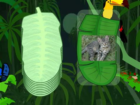 Домаће животиње Speaking Cards